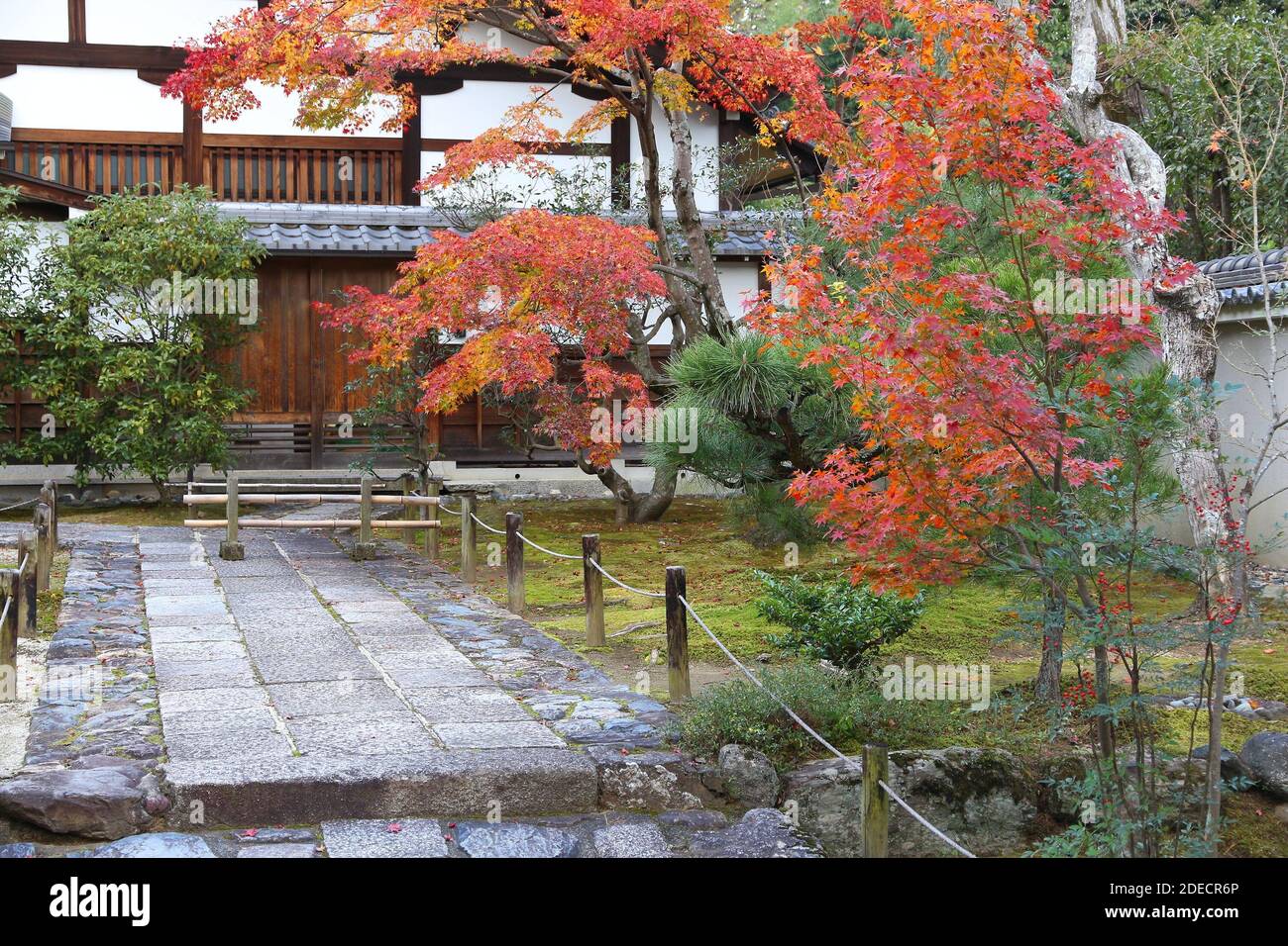 Kyoto, Japan - Tenryuji Temple in Arashiyama. Autumn leaves Stock Photo ...