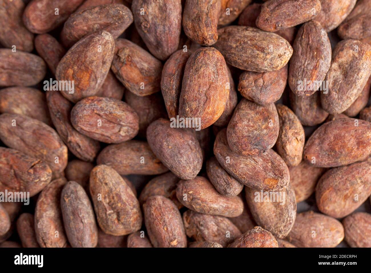 Cocoa beans in full frame. Cocoa product Stock Photo - Alamy