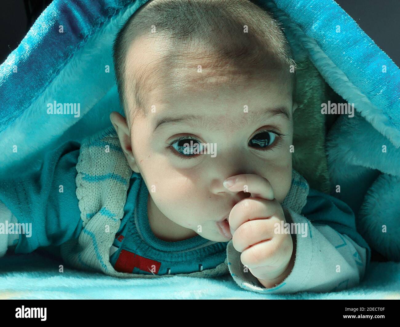 Beautiful kid different poses looks very handsome. Small child after ...