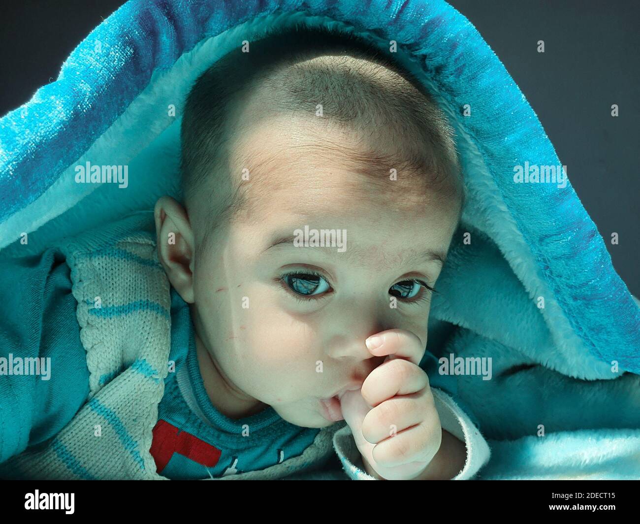 Beautiful kid different poses looks very handsome. Small child after ...