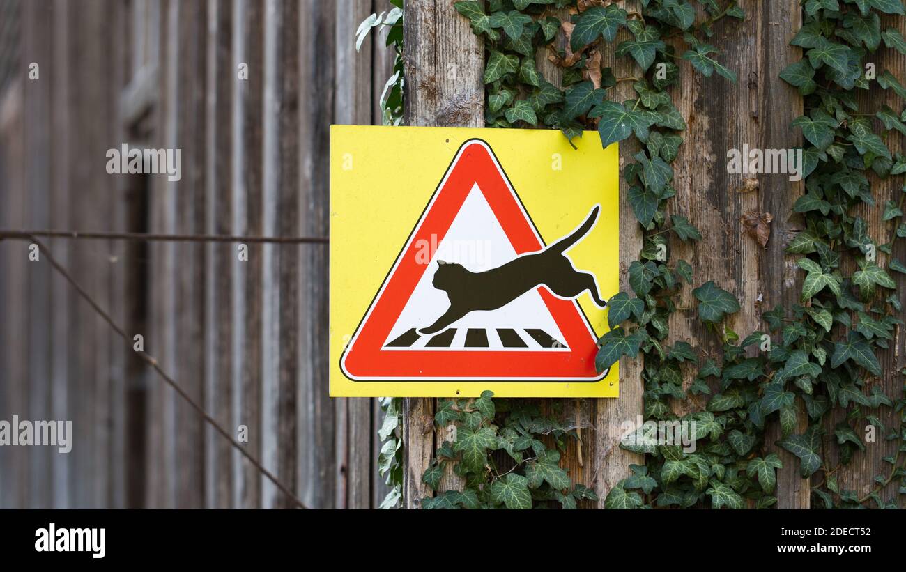 Cat crossing sign hi-res stock photography and images - Alamy