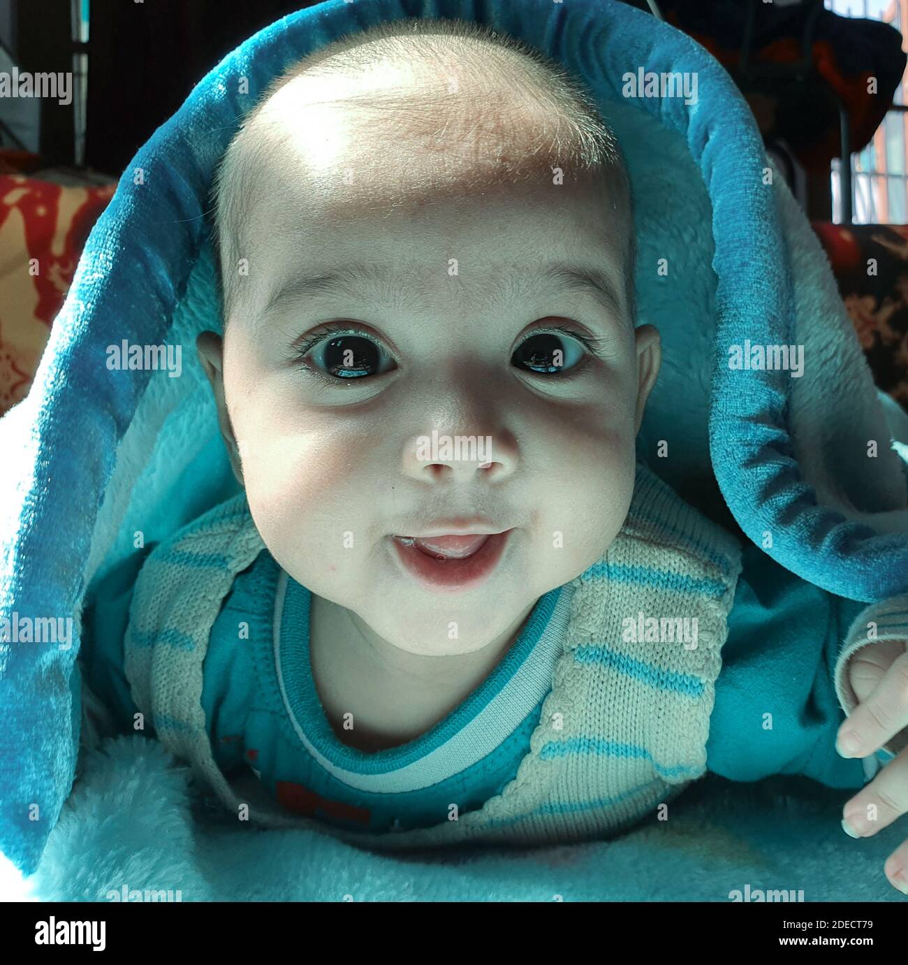 Beautiful kid different poses looks very handsome. Small child after ...