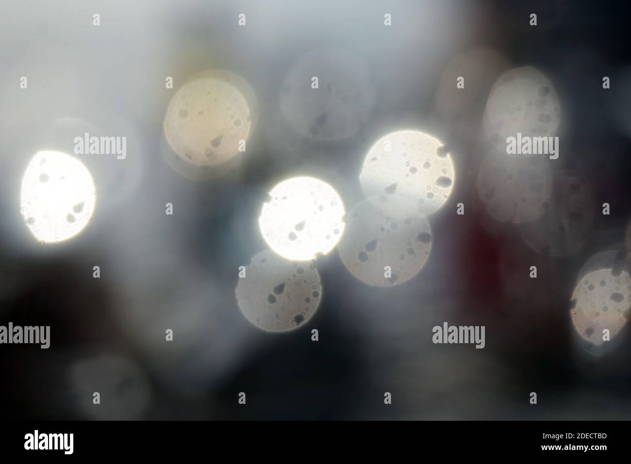Abstract lights background. bright poster. Bokeh wallpaper Stock Photo ...