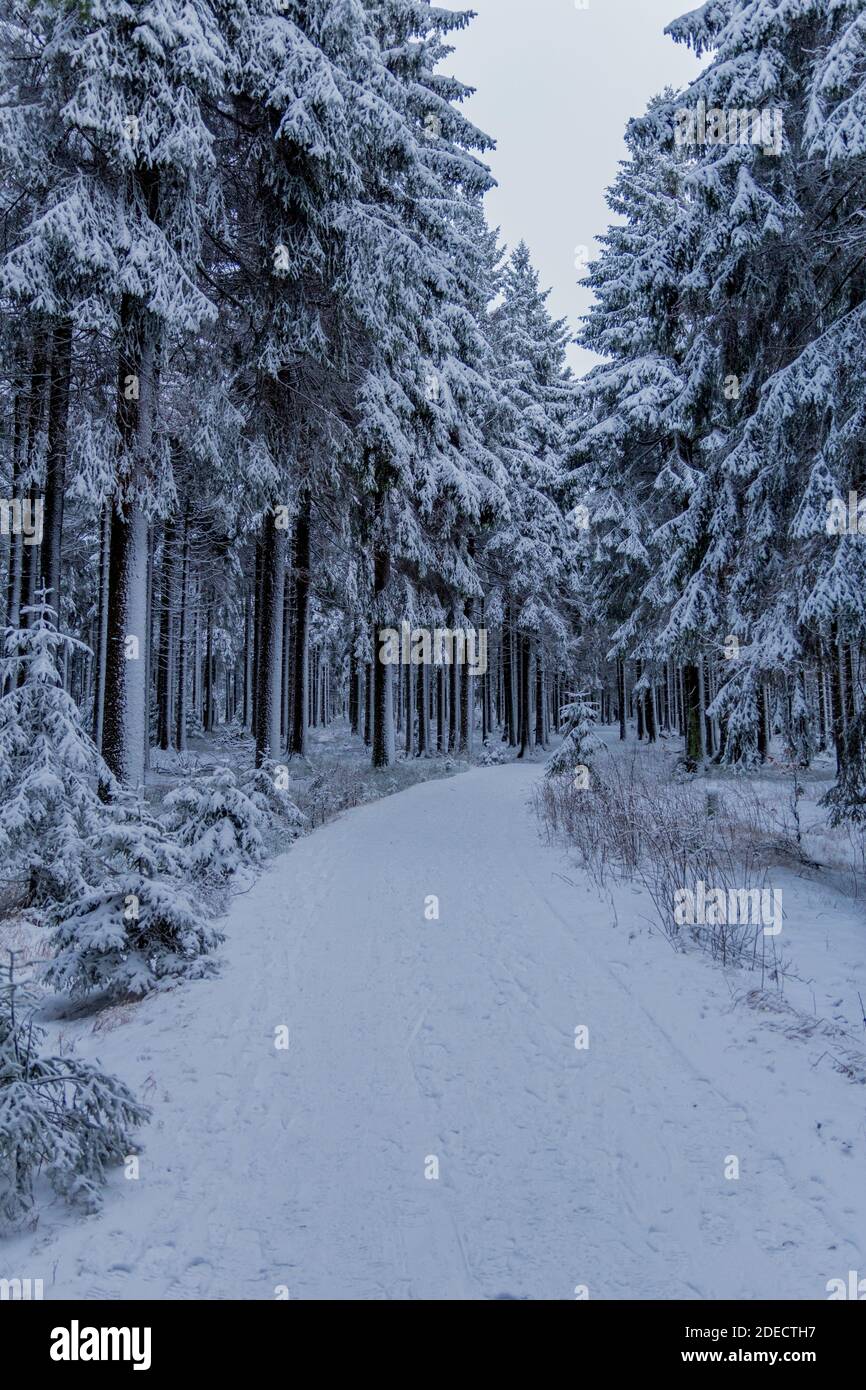 First small winter hike along the Rennsteig through the Thuringian ...