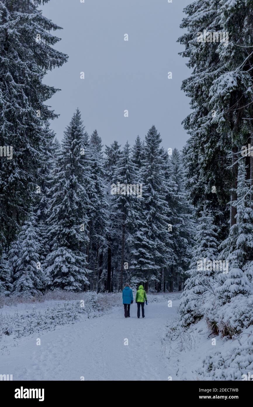 First small winter hike along the Rennsteig through the Thuringian ...