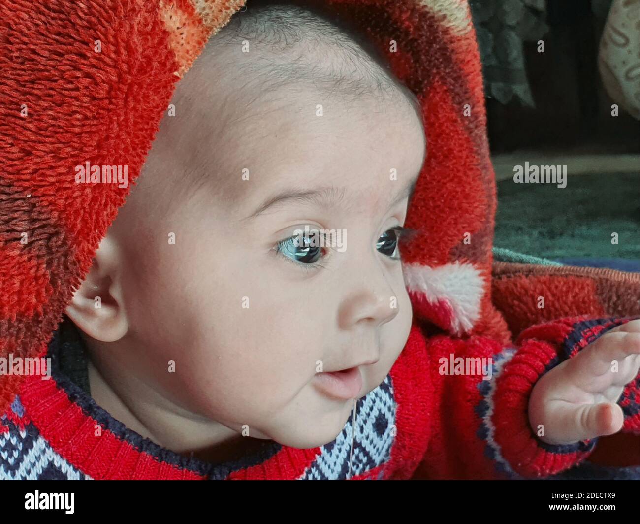 Beautiful kid different poses looks very handsome. Small child after ...