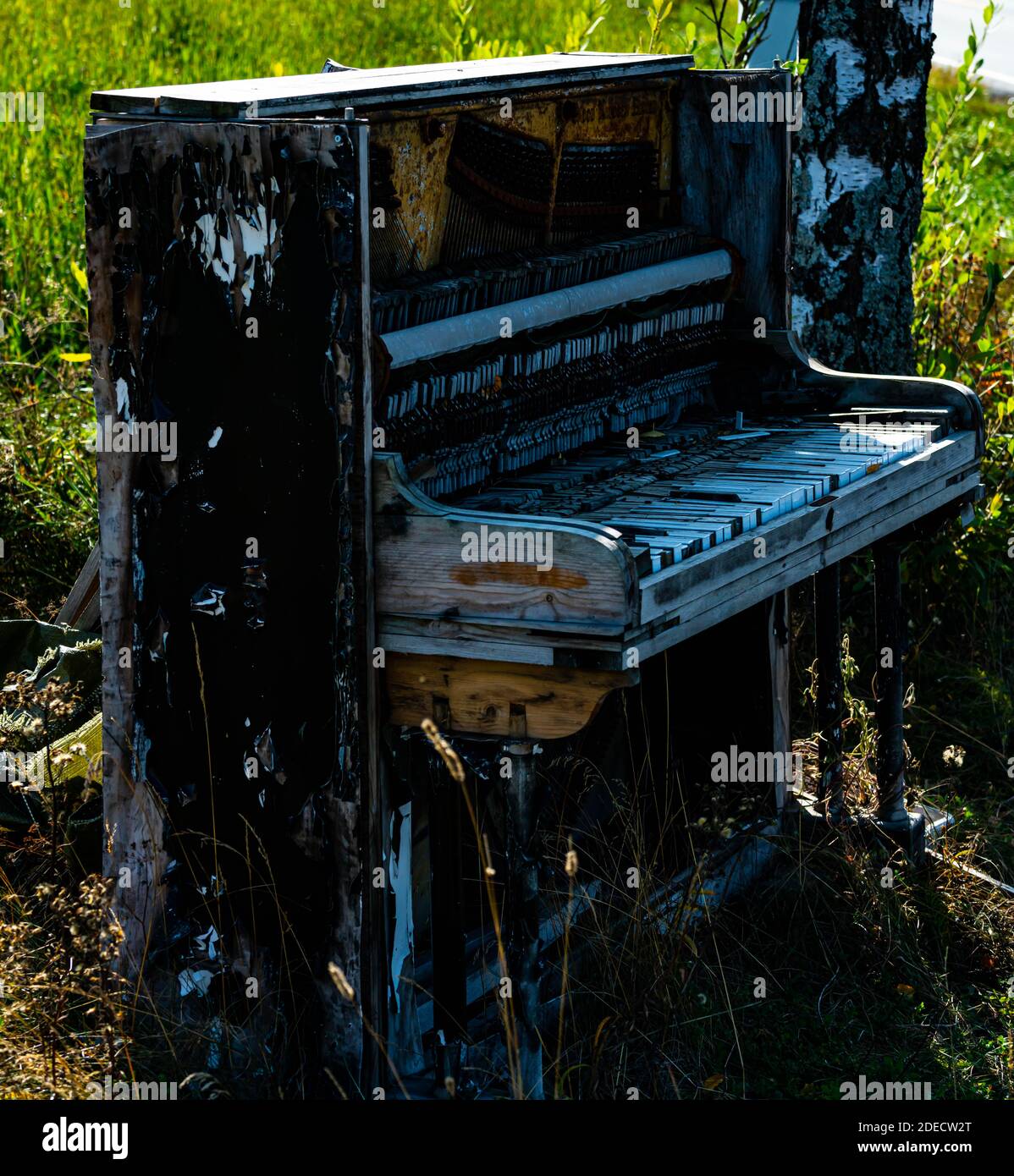 Rusty piano hi-res stock photography and images - Alamy