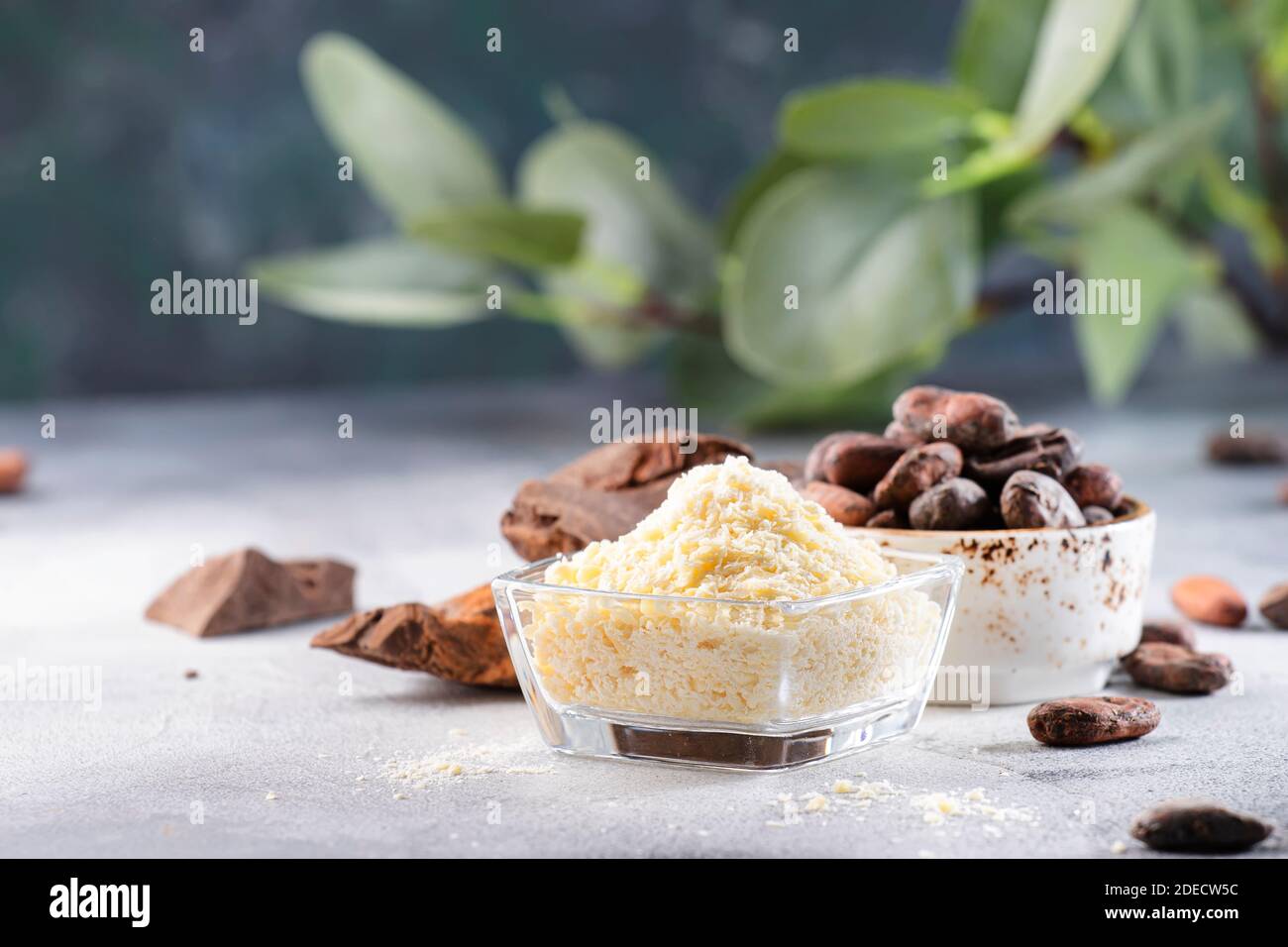 Organic cocoa butter, cocoa beans, grated cocoa lump, dark chocolate on ...