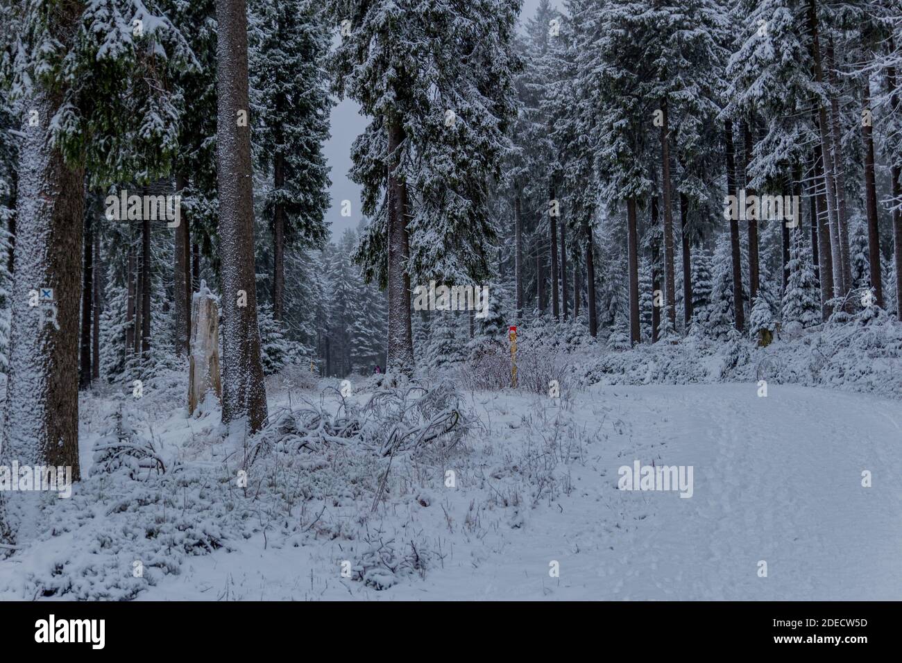 First small winter hike along the Rennsteig through the Thuringian ...