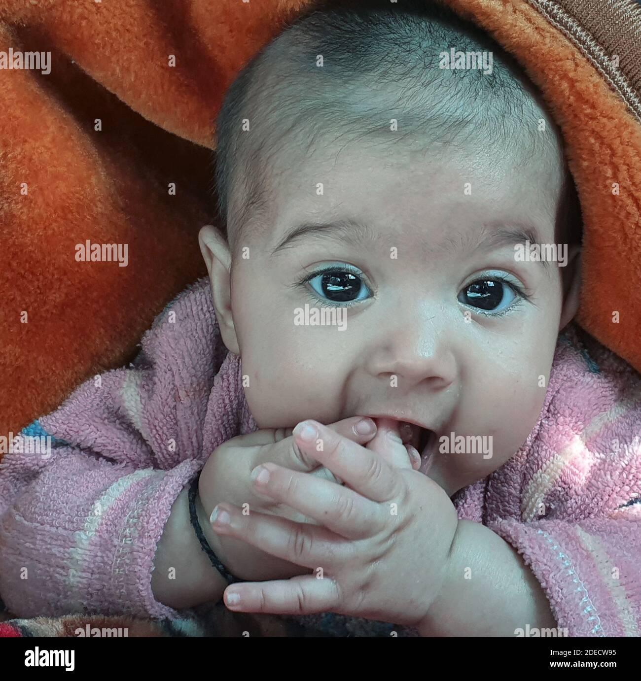 Beautiful kid different poses looks very handsome. Small child after ...