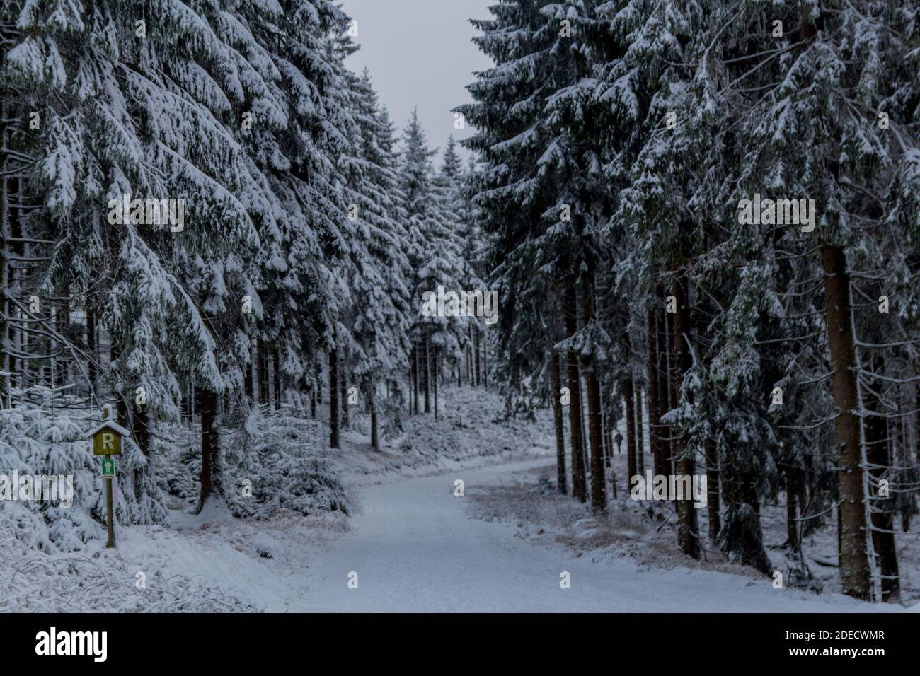 First small winter hike along the Rennsteig through the Thuringian ...