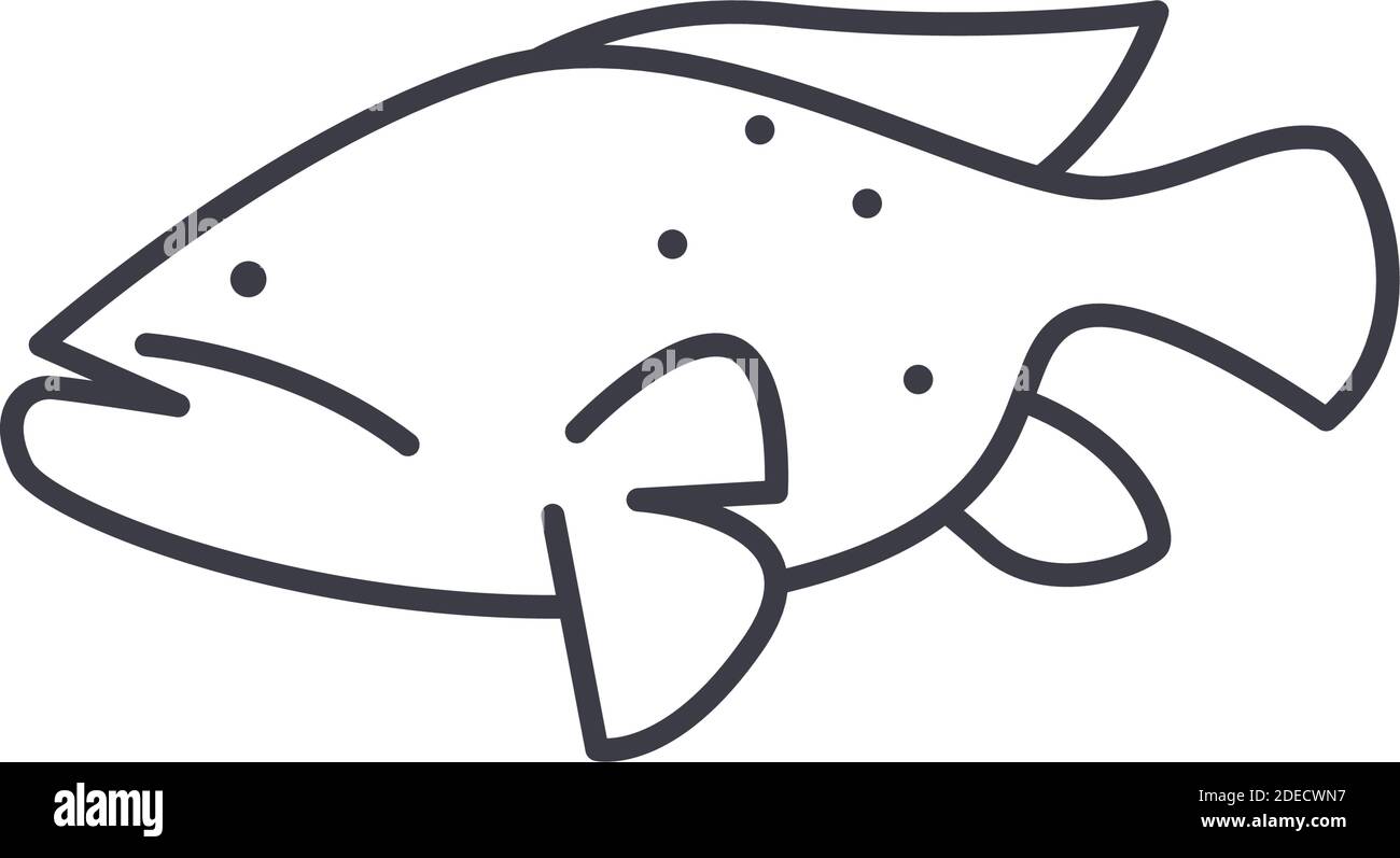 Grouper icon, linear isolated illustration, thin line vector, web ...