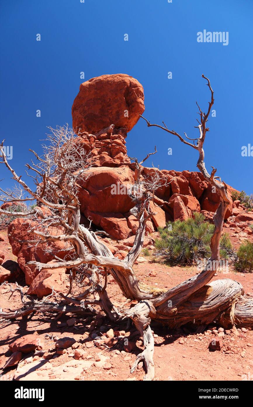 Balanced Rock at Arches National Park in Utah, USA. American landscape ...