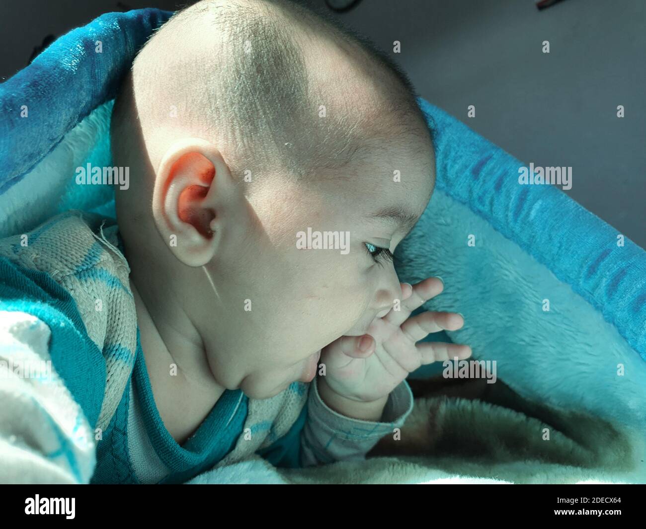 Beautiful kid different poses looks very handsome. Small child after ...