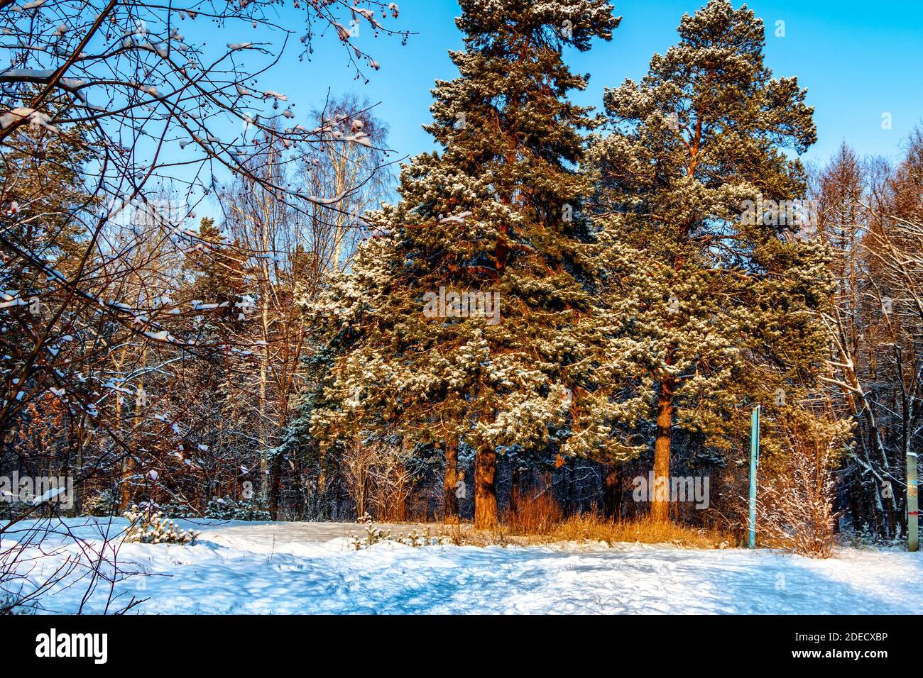 Shades of colors in the sky hi-res stock photography and images - Alamy