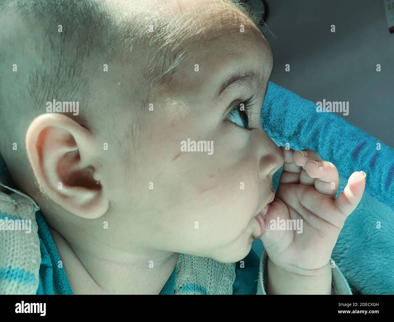 Beautiful kid different poses looks very handsome. Small child after ...