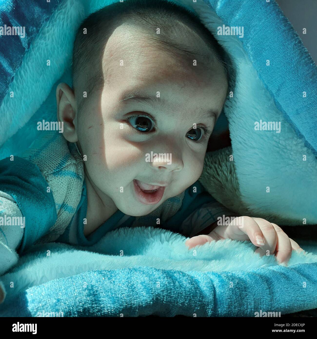 Beautiful kid different poses looks very handsome. Small child after ...