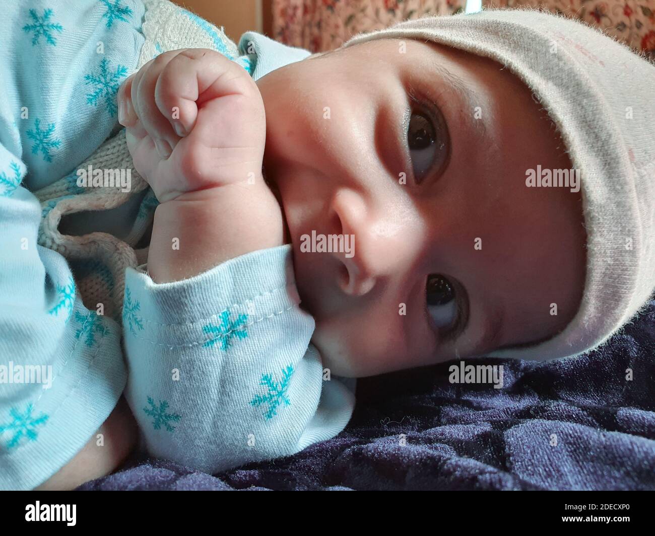 Beautiful kid different poses looks very handsome. Small child after ...