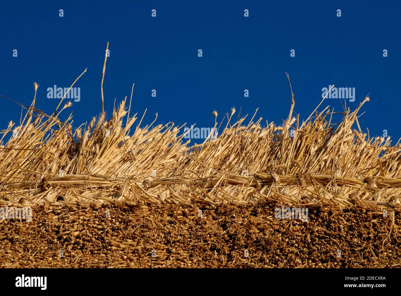 Thatch Thatched Thatching High Resolution Stock Photography and Images ...