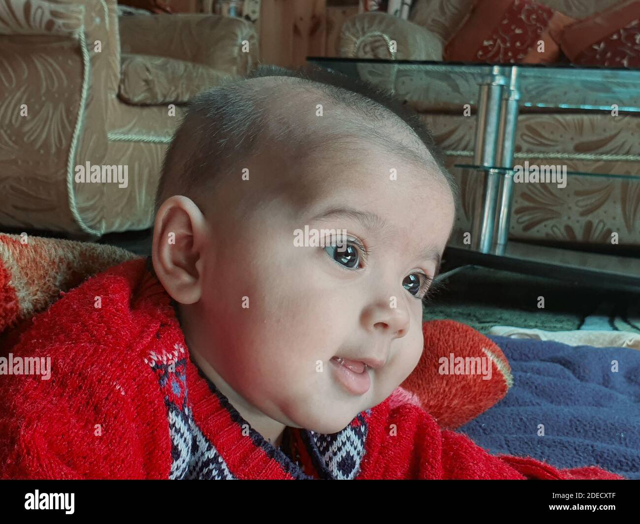 Beautiful kid different poses looks very handsome. Small child after ...