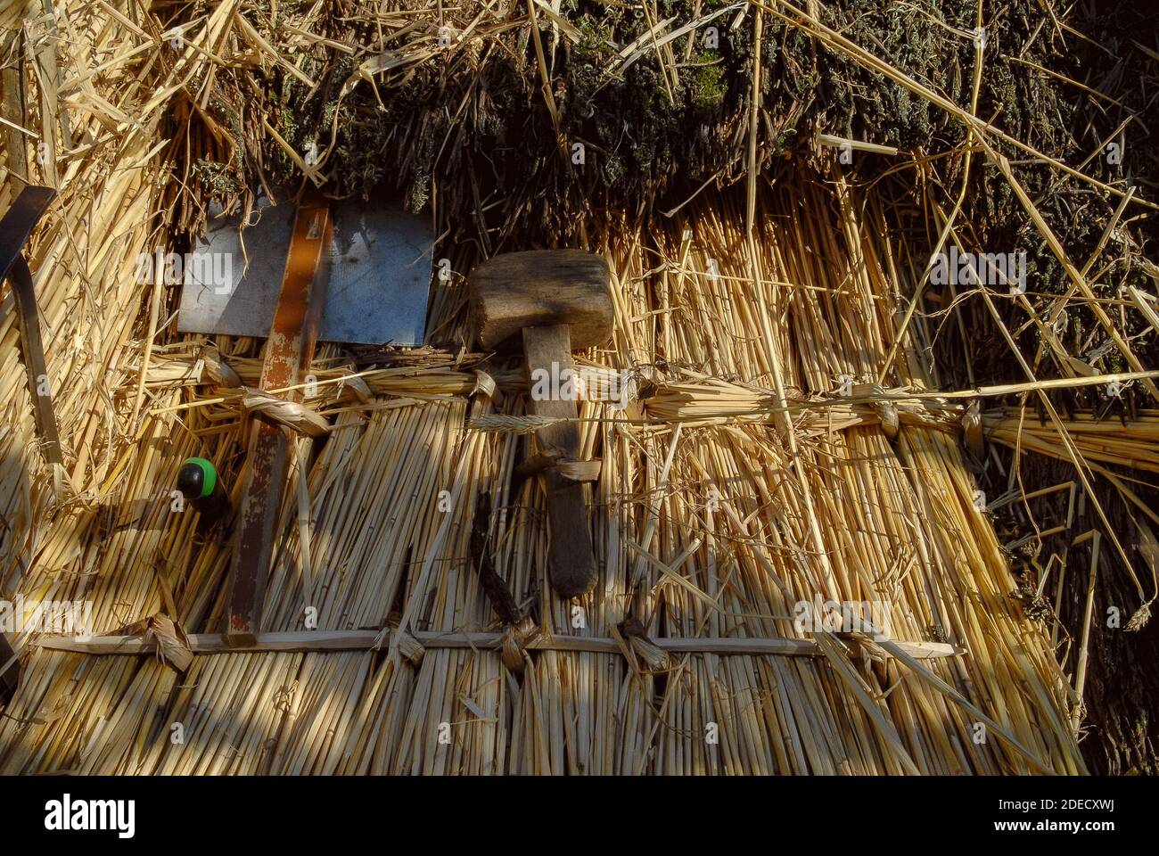 Hazel spars hi-res stock photography and images - Alamy