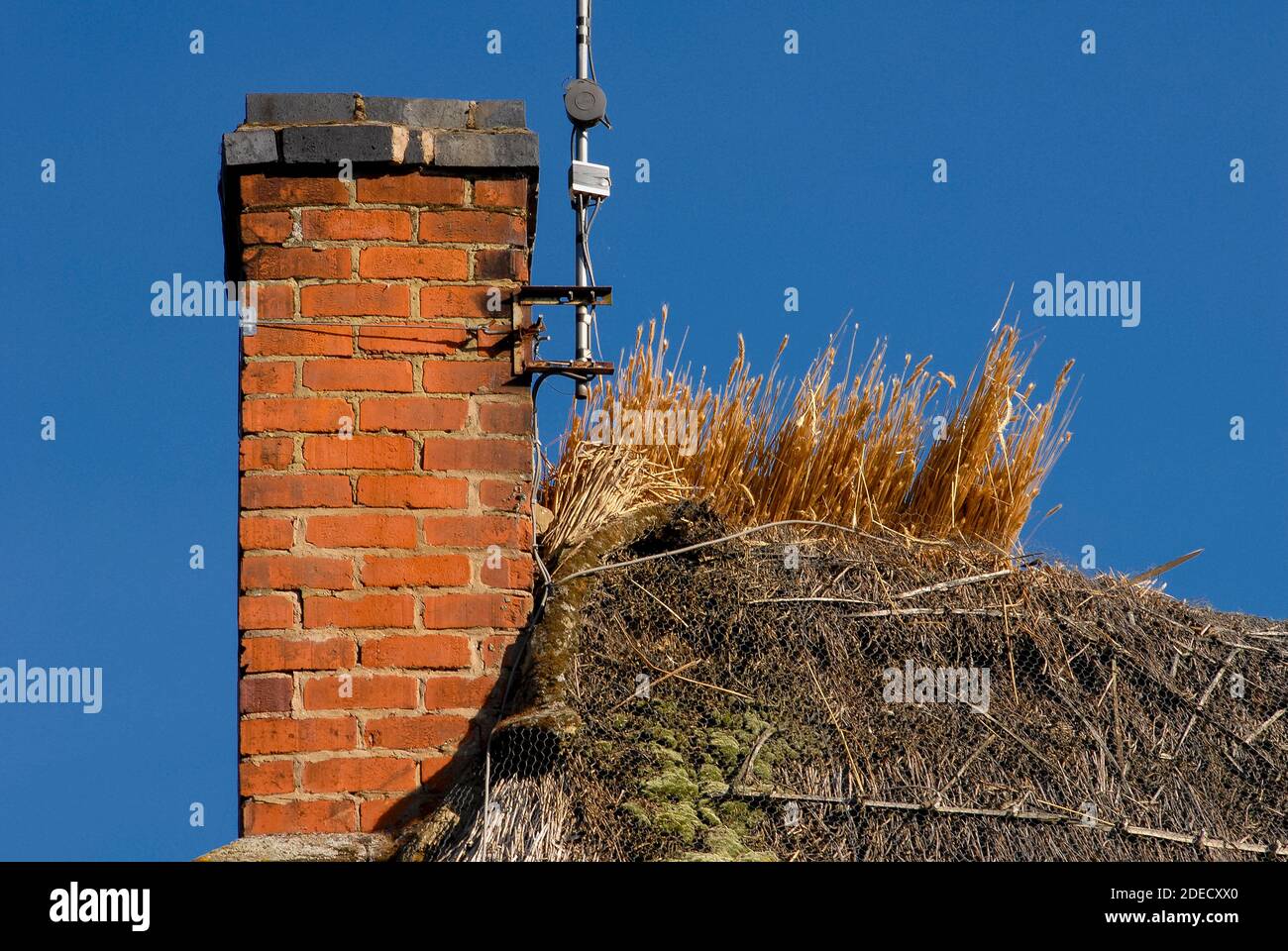 Fresh straw, newly laid on a rear roof slope, contrasts at the ridge ...