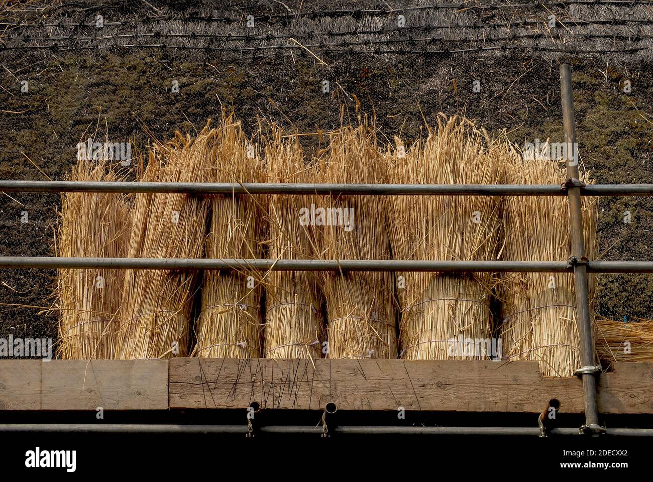 Sheaves of fresh straw wait on a Master Thatcher’s scaffold to replace ...