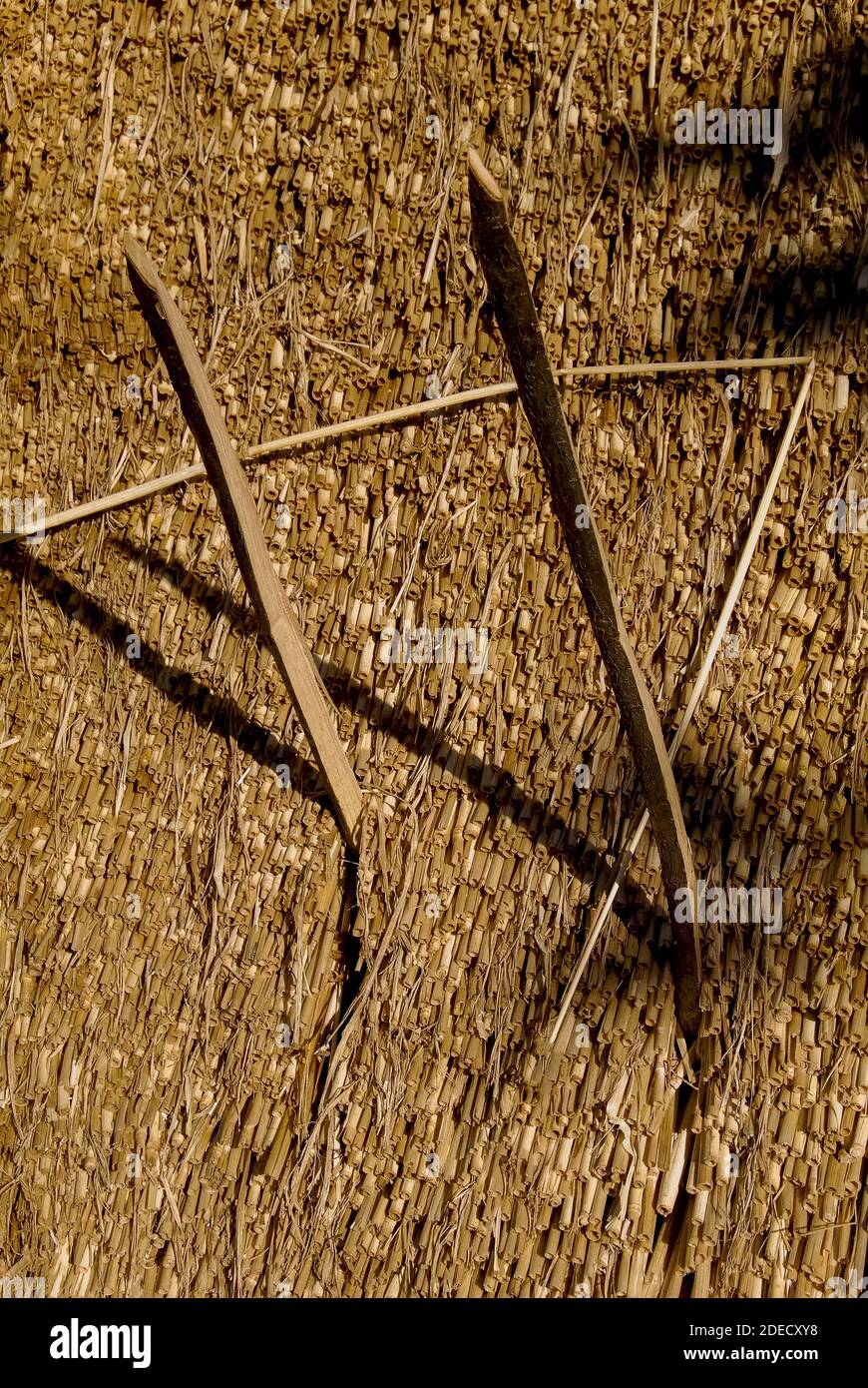 The sharp tips of hazelwood spars, shaped by a Master Thatcher ...