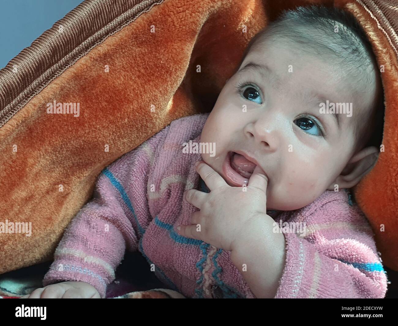 Beautiful kid different poses looks very handsome. Small child after ...