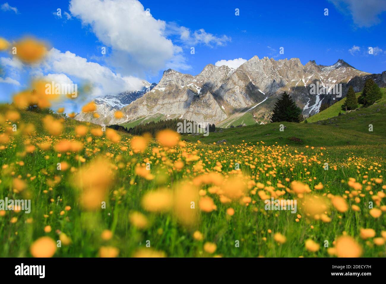 geography / travel, Switzerland, Alpstein Massif with Saentis, Appenzel ...