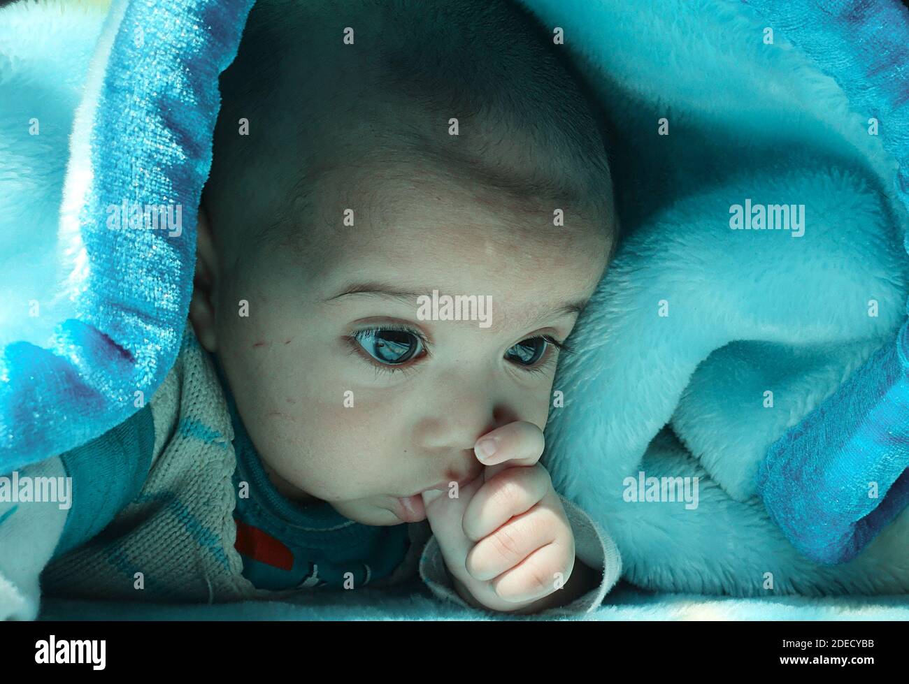 Beautiful kid different poses looks very handsome. Small child after ...