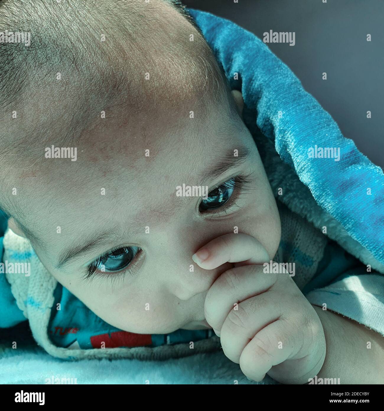 Beautiful kid different poses looks very handsome. Small child after ...