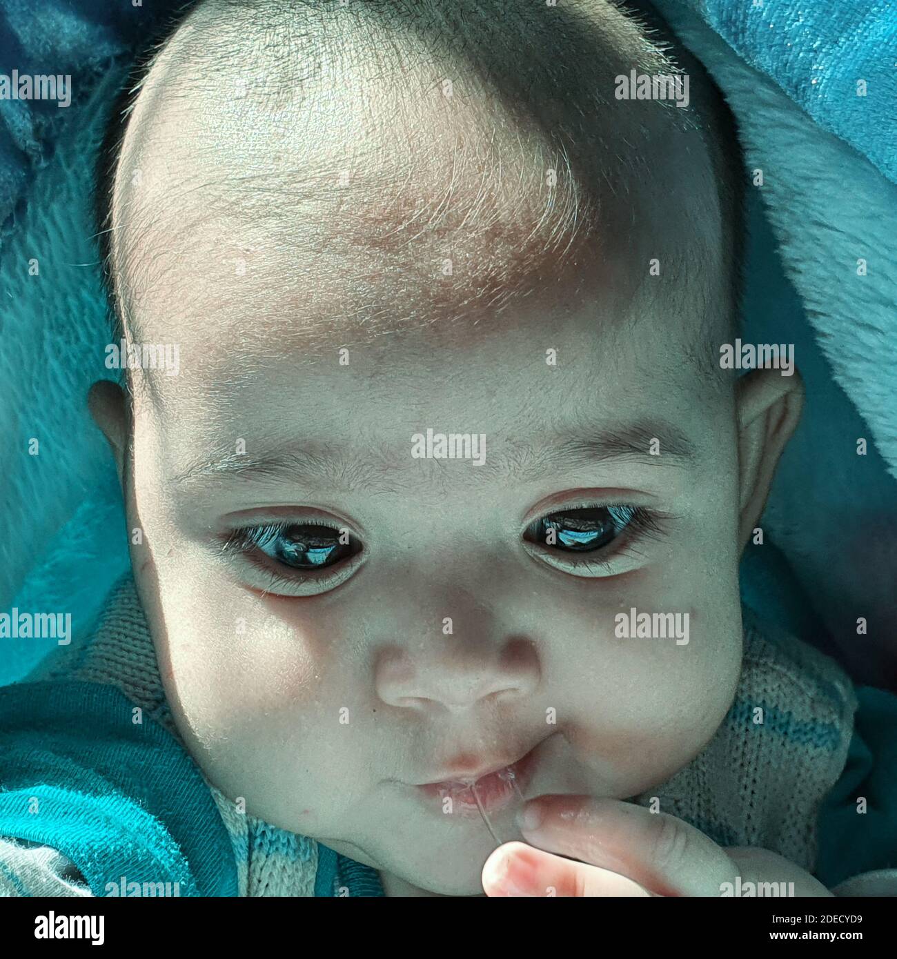 Beautiful kid different poses looks very handsome. Small child after ...