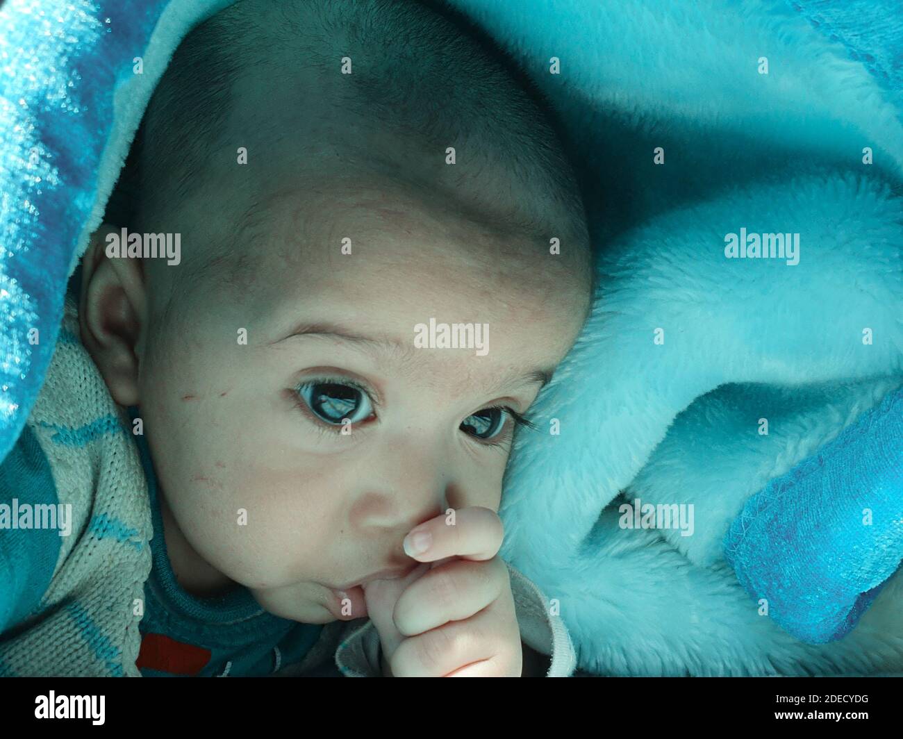 Beautiful kid different poses looks very handsome. Small child after ...