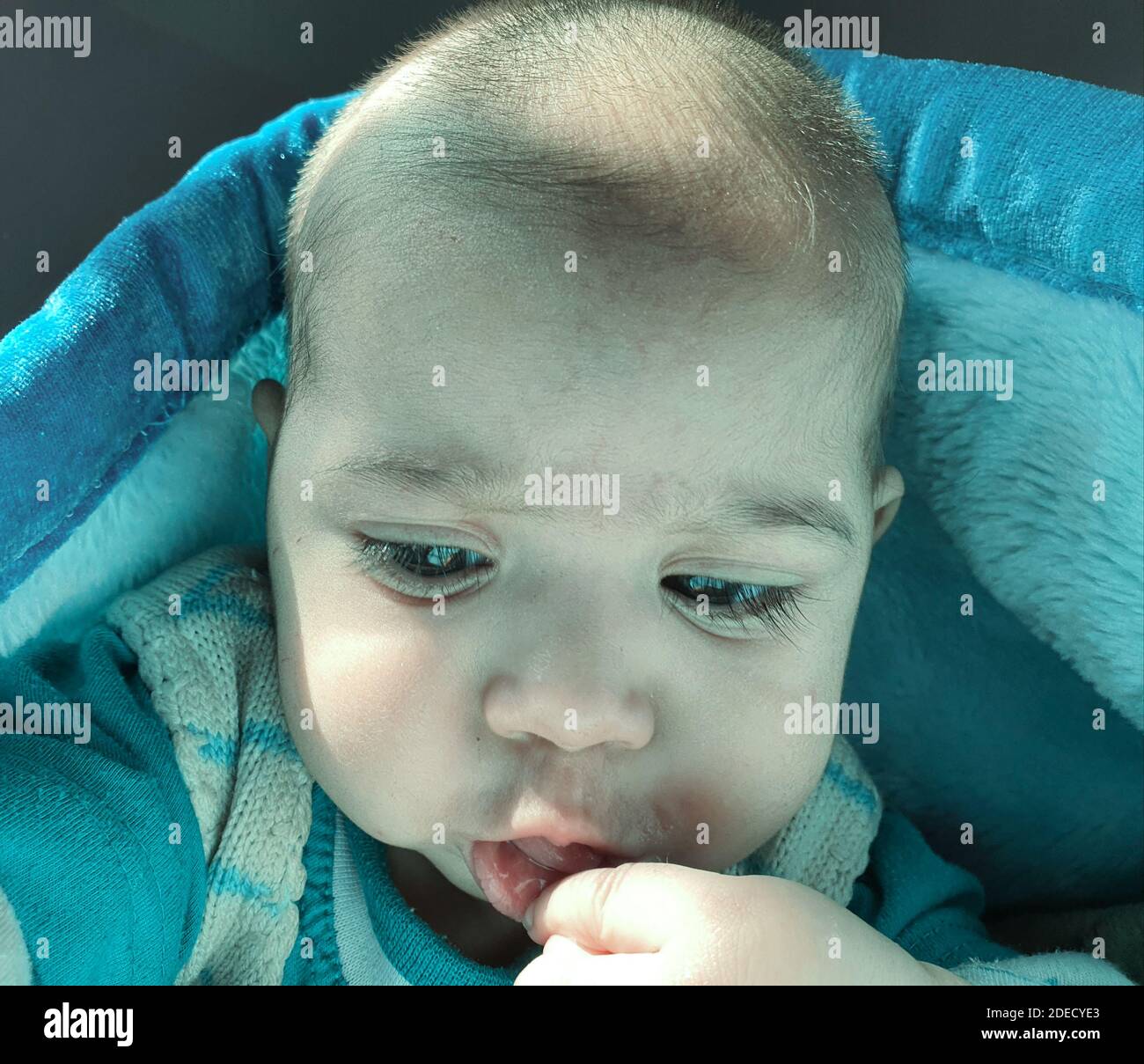 Beautiful kid different poses looks very handsome. Small child after ...