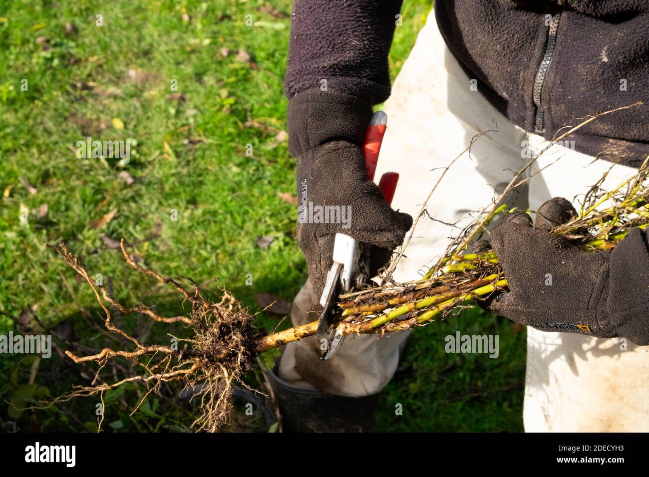 Cutting up hi-res stock photography and images - Alamy