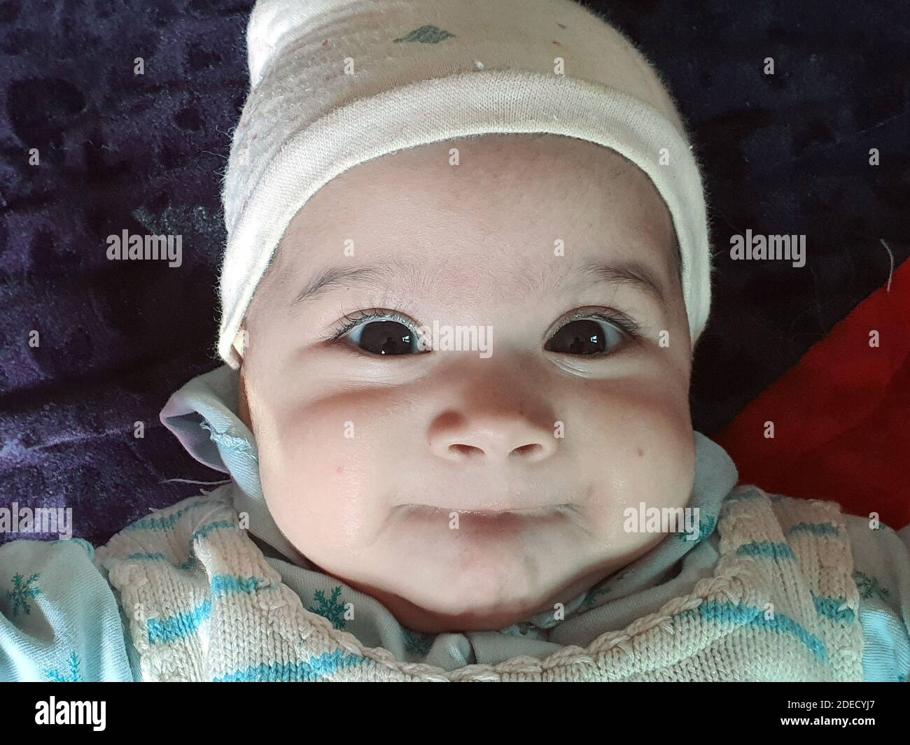 Beautiful kid different poses looks very handsome. Small child after ...