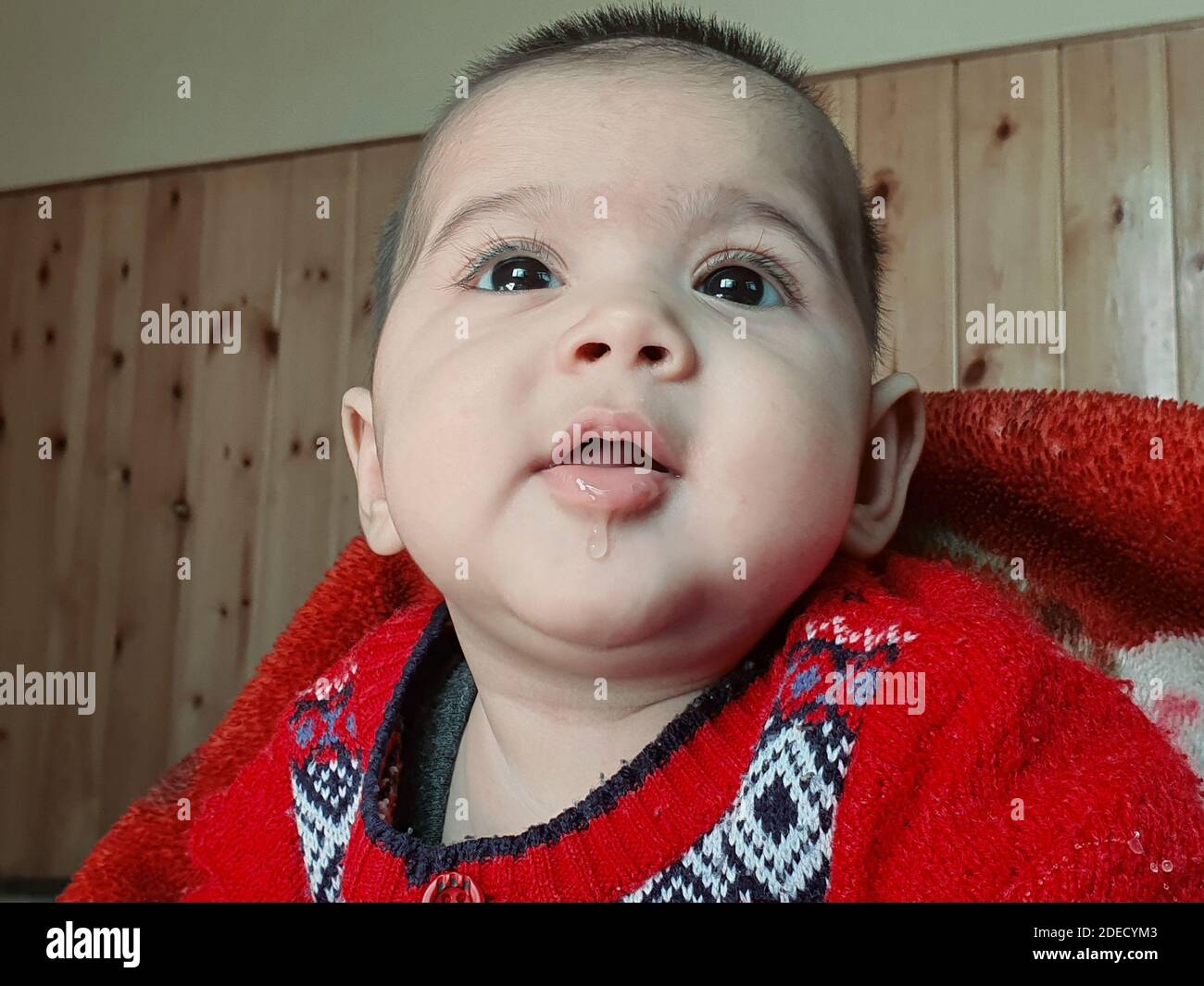 Beautiful kid different poses looks very handsome. Small child after ...