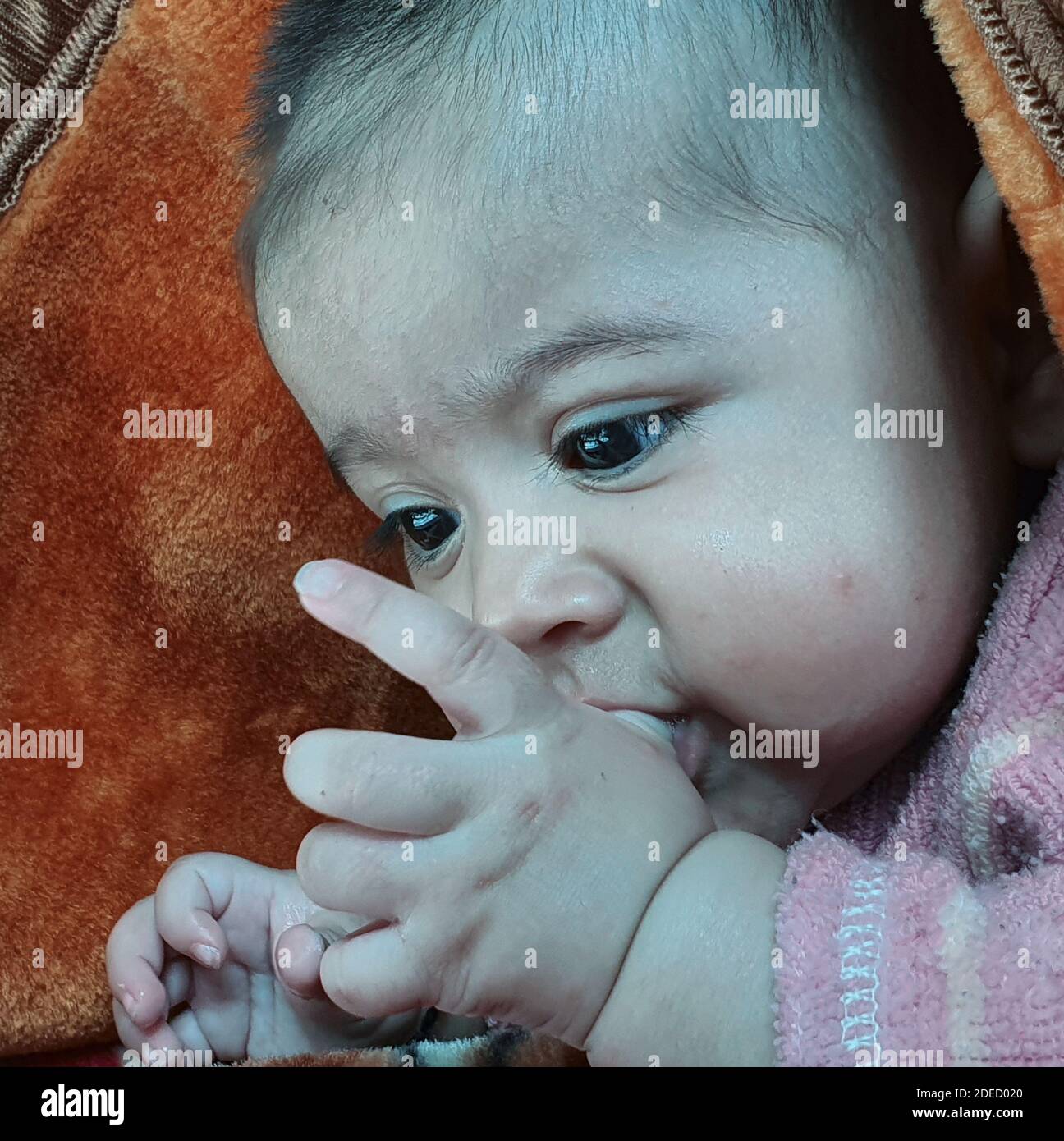 Beautiful kid different poses looks very handsome. Small child after ...