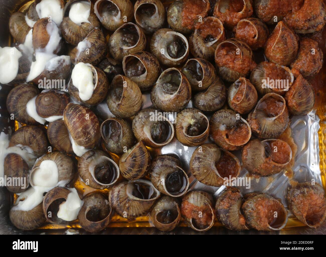 cooked snails with tomato and alioli sauce Stock Photo - Alamy