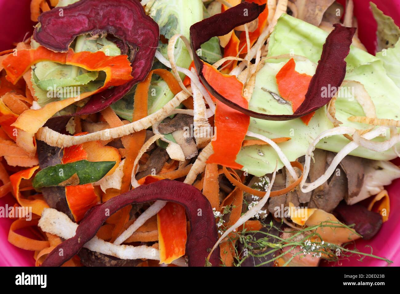 Domestic organic waste. Pieces of vegetables and fruit for bio ...