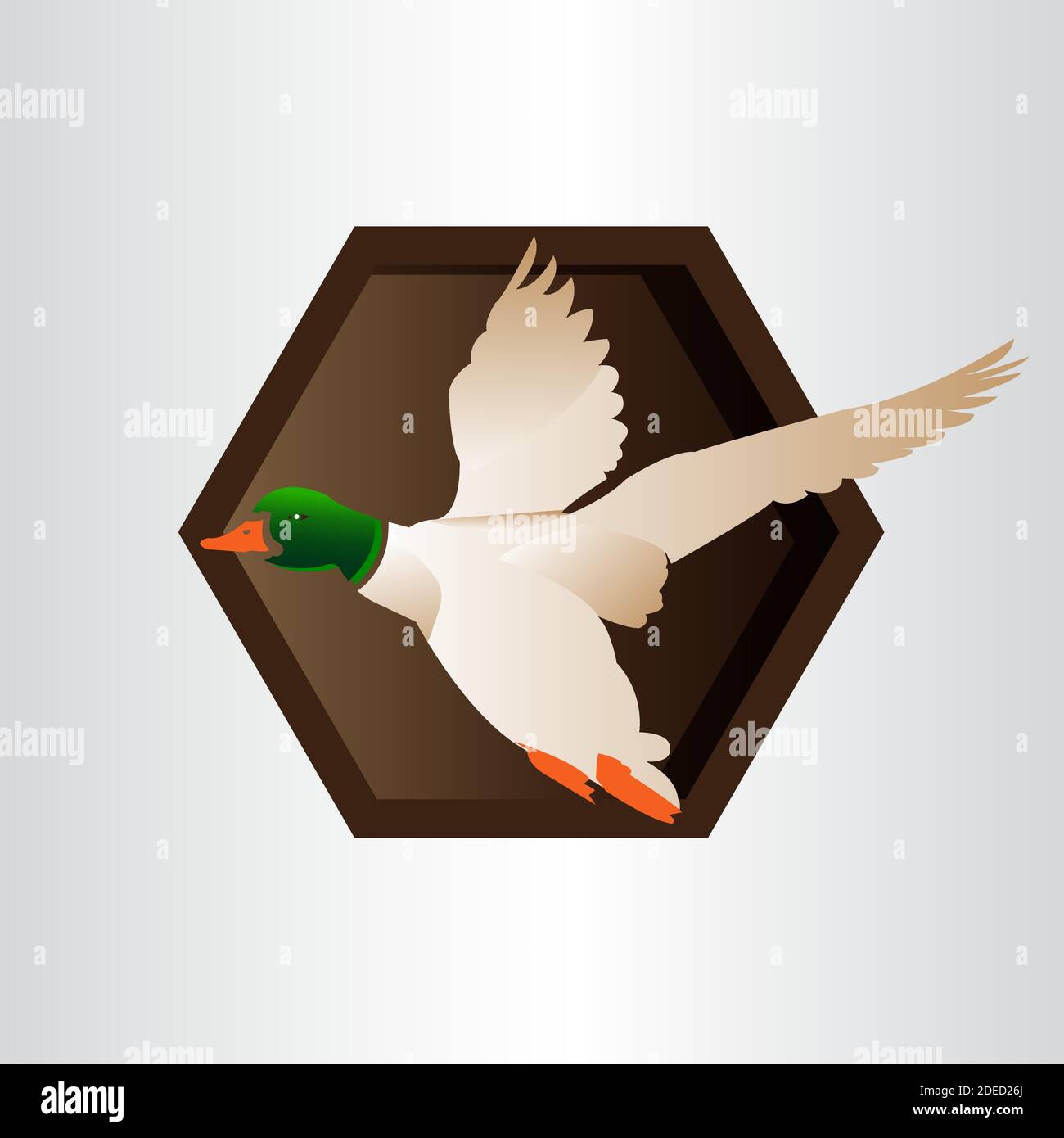Duck spreading wings Stock Vector Images - Alamy