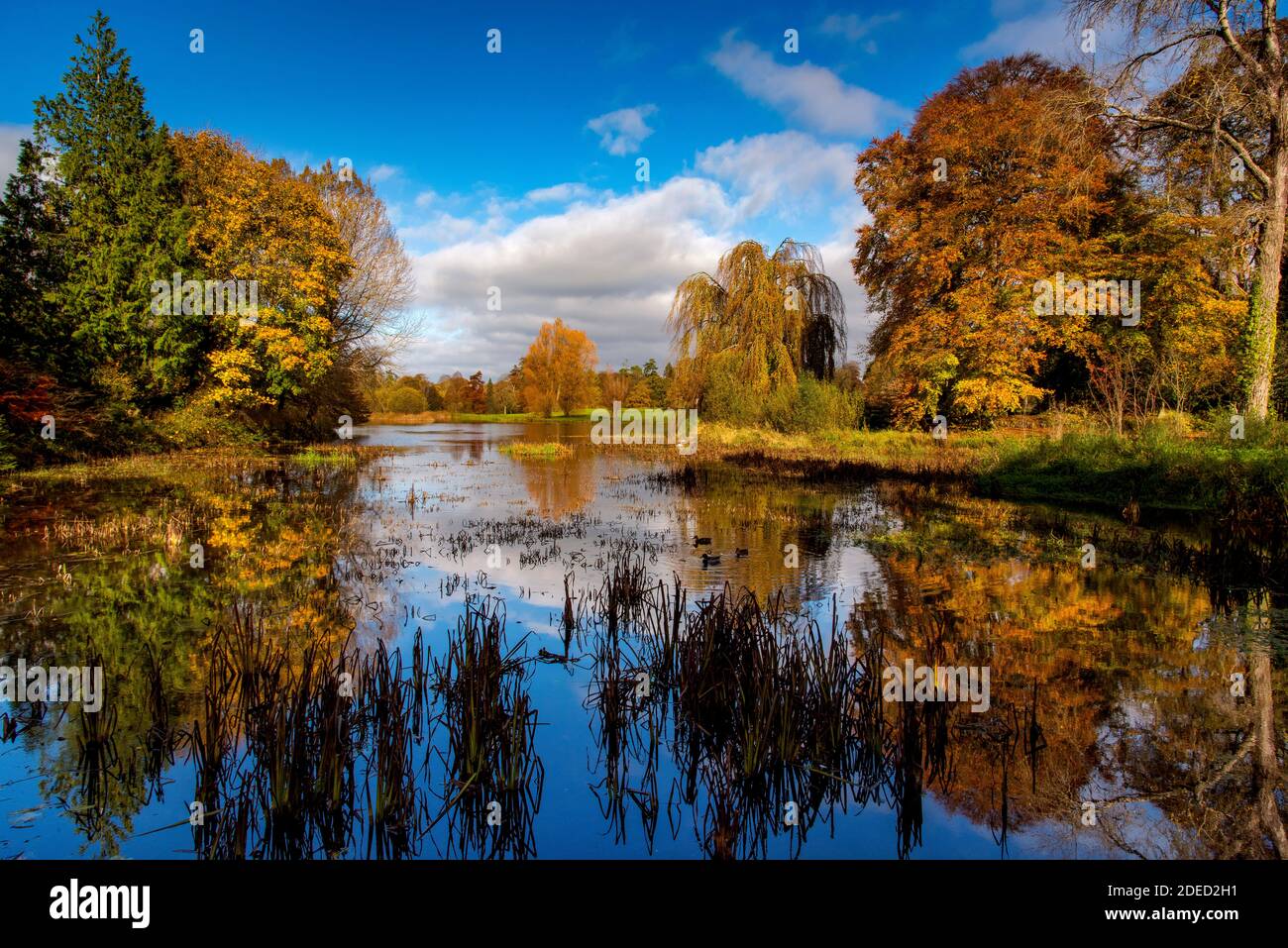 Birr Castle Telescope and gardens, Co. Offaly, Ireland Stock Photo - Alamy