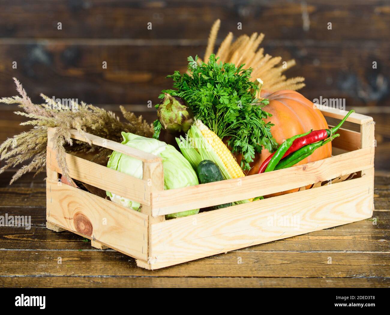 Buy fresh homegrown vegetables. Just from garden. Delivery service ...