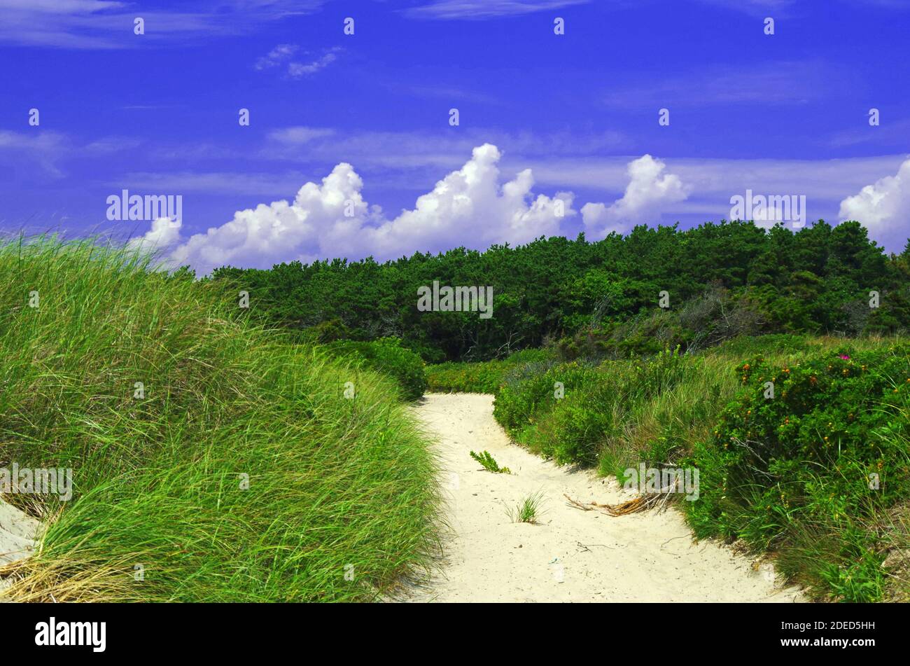 Beautiful image of the ocean and beach hi-res stock photography and ...