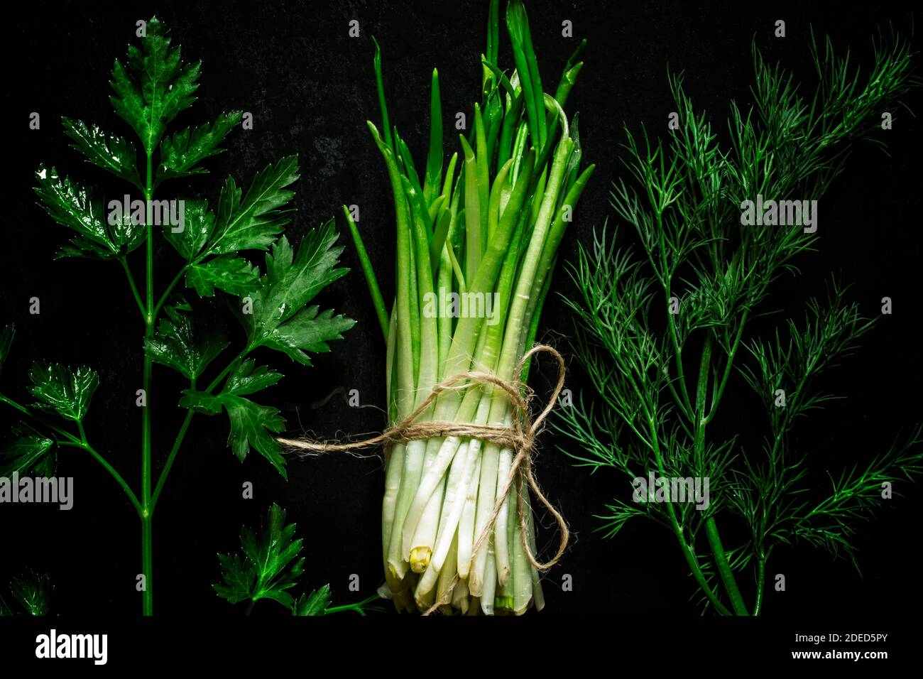 Food background, fresh wild garlic sprouts on a dark background, top ...