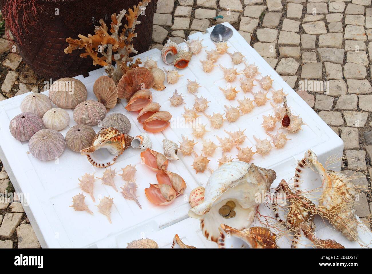 Ferragudo market hi-res stock photography and images - Alamy