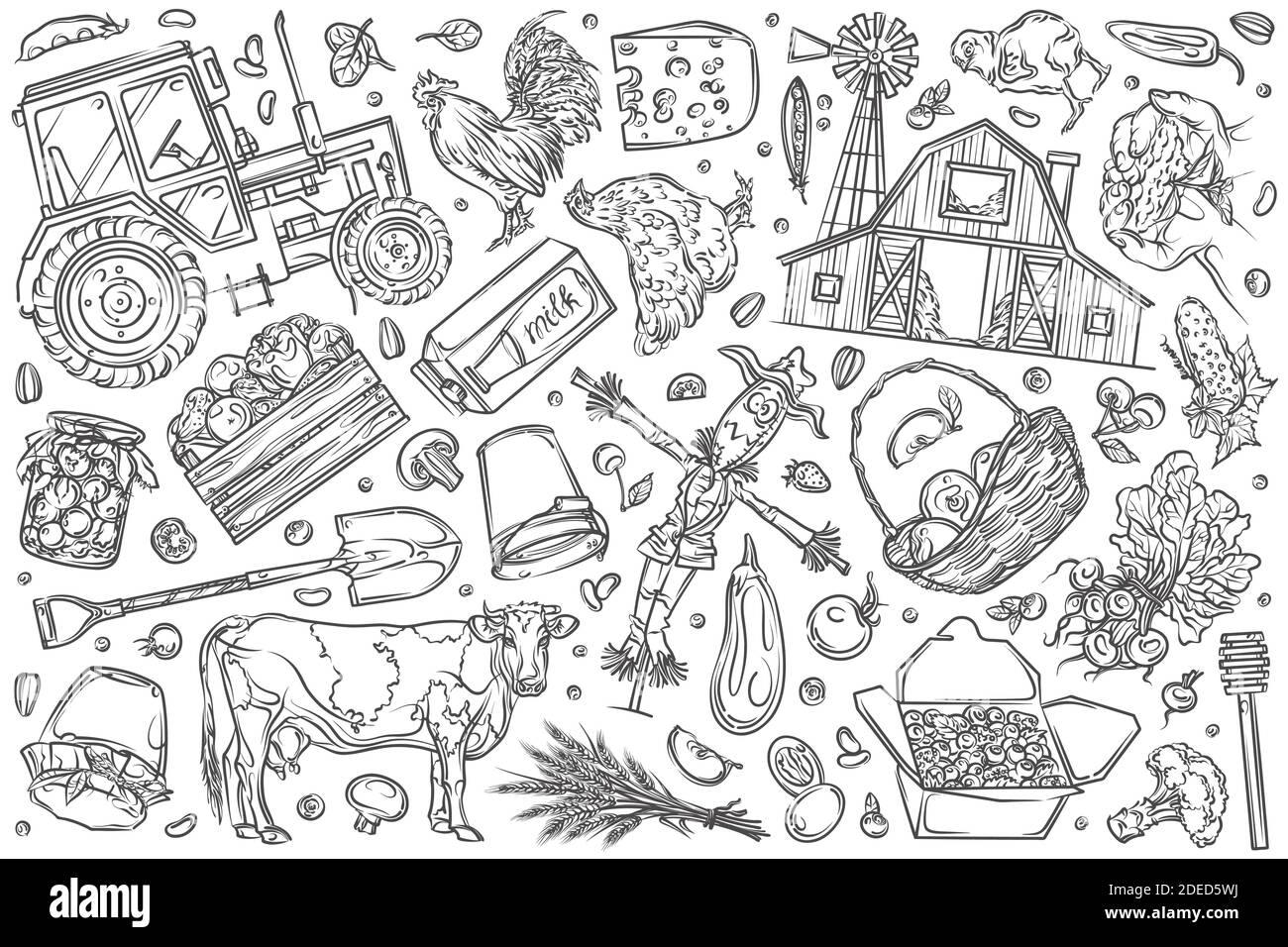 Hand drawn organic farming and food set doodle vector illustration ...