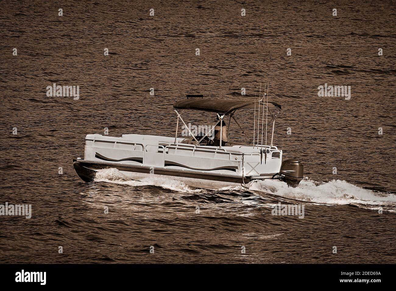 It's on high speed. Side view Stock Photo - Alamy