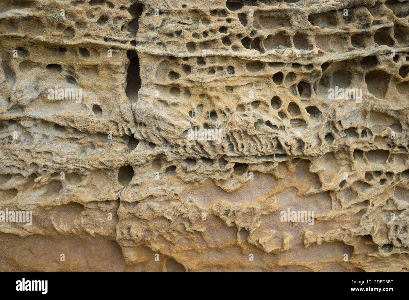 Sand and rock texture on the beach Stock Photo - Alamy